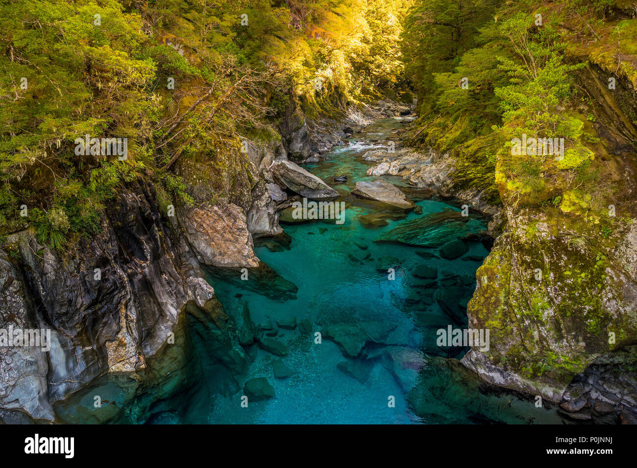Blue Pools is the most famous attraction in Haast Pass. Located in ...