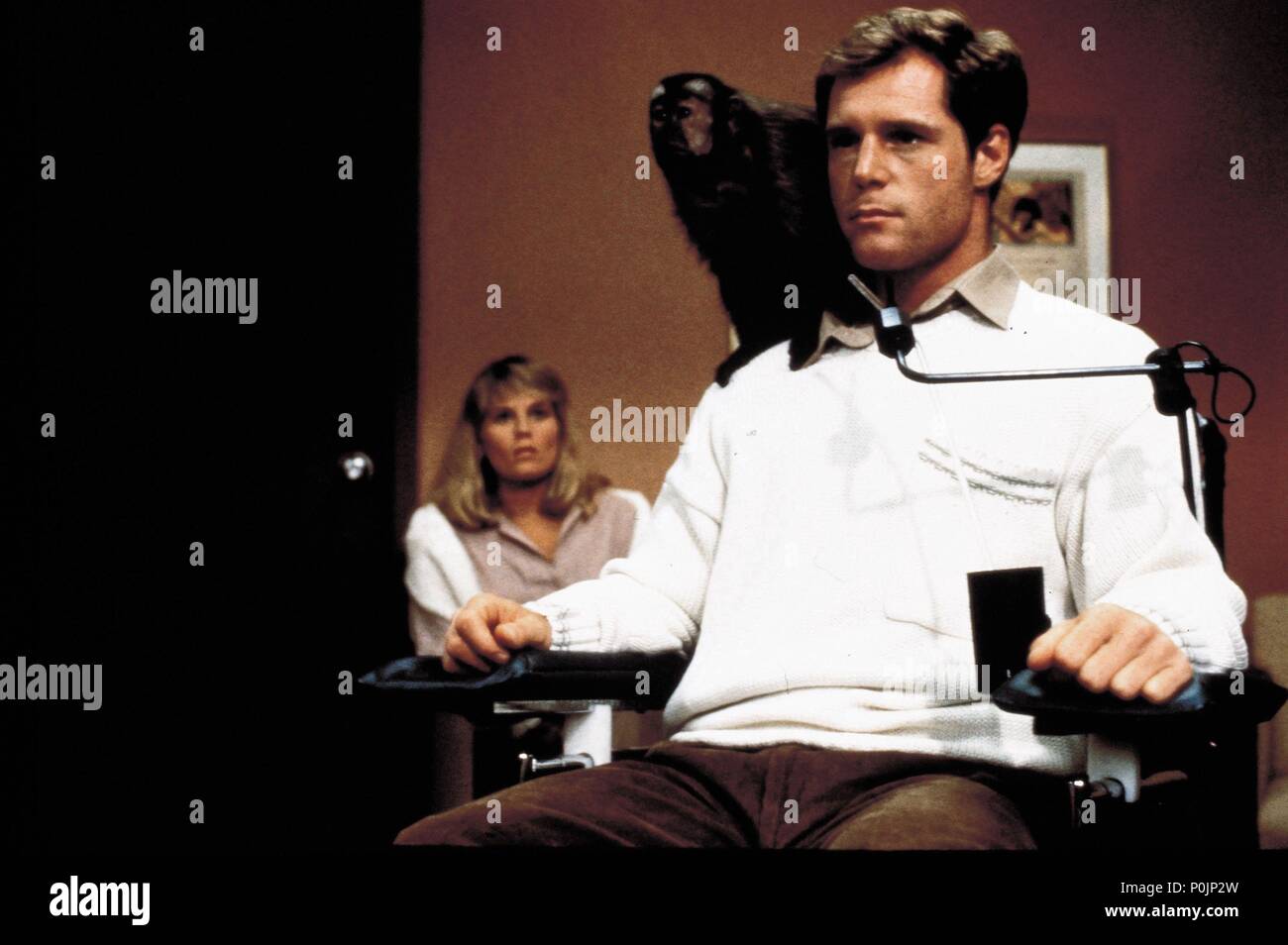 Original Film Title: MONKEY SHINES. English Title: MONKEY SHINES. Film ...