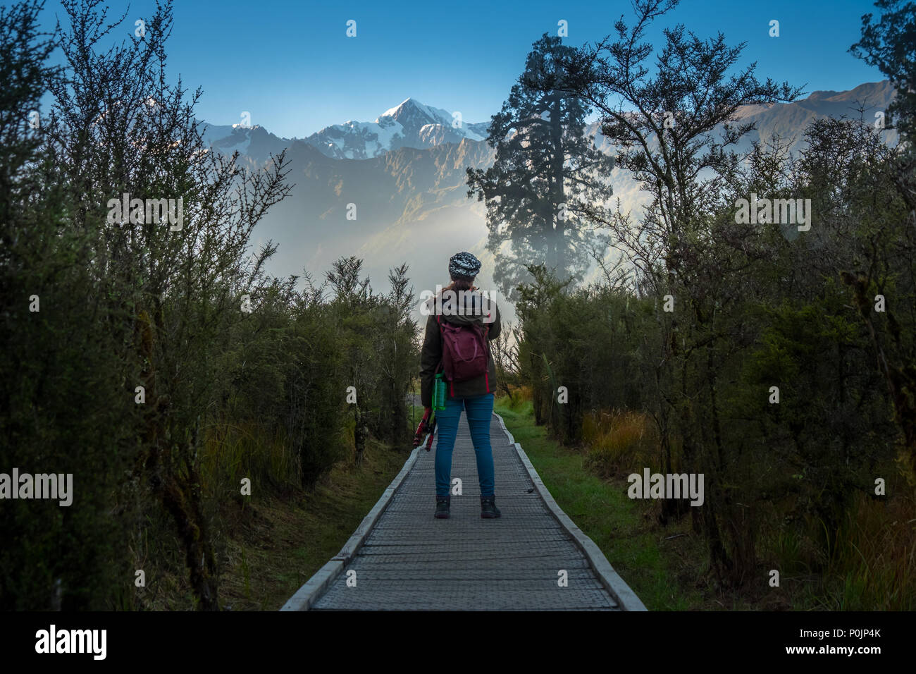 Track at Lake Matheson. Locate near the Fox Glacier in West Coast of ...