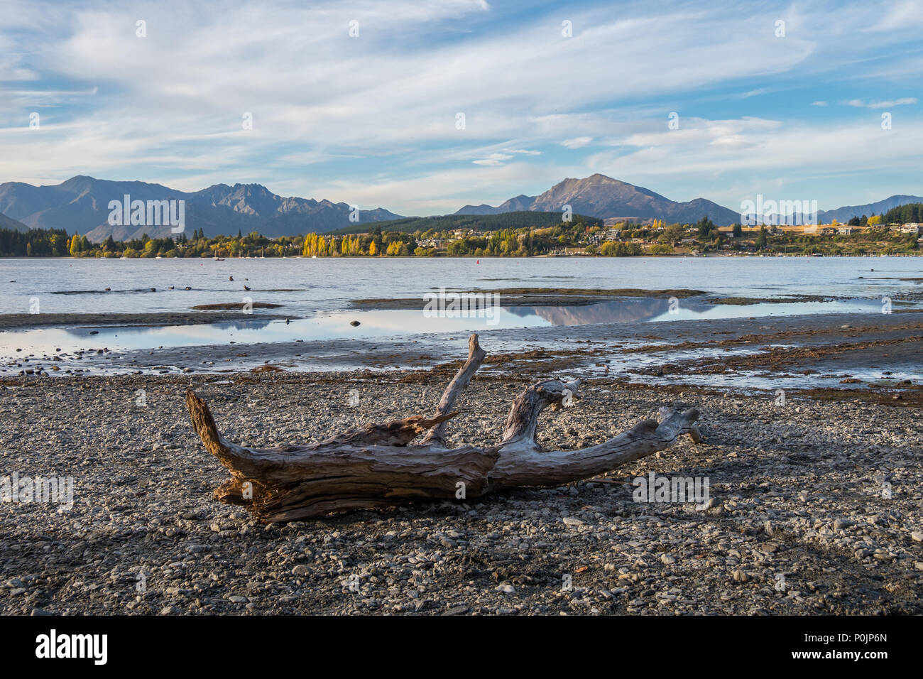 Lake Wanaka in the afternoon with colorful autumn leaf, Wanaka, New ...
