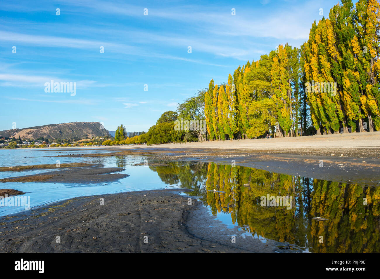 Lake Wanaka in the afternoon with colorful autumn leaf, Wanaka, New ...