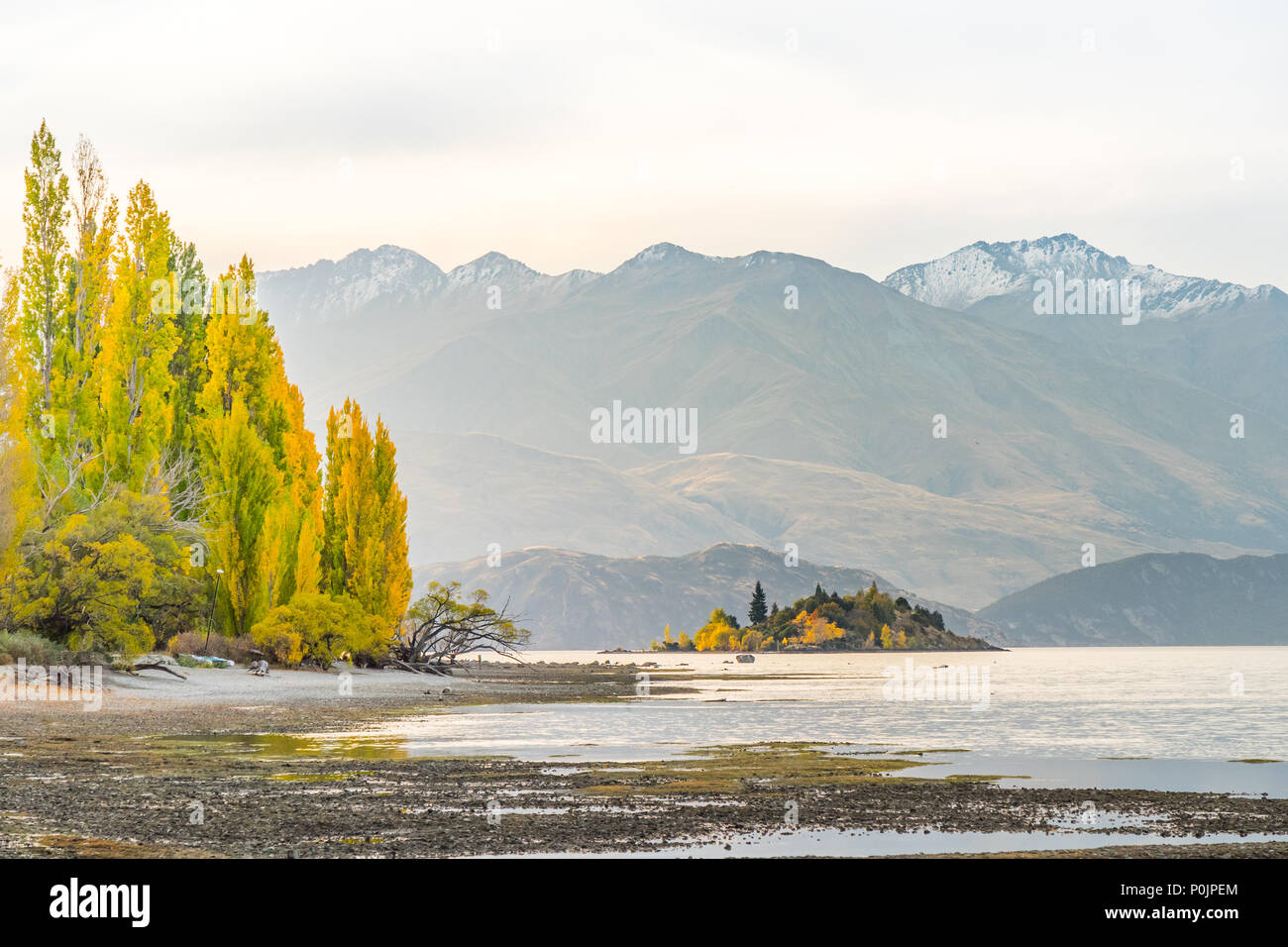 Lake Wanaka in the afternoon with colorful autumn leaf, Wanaka, New ...