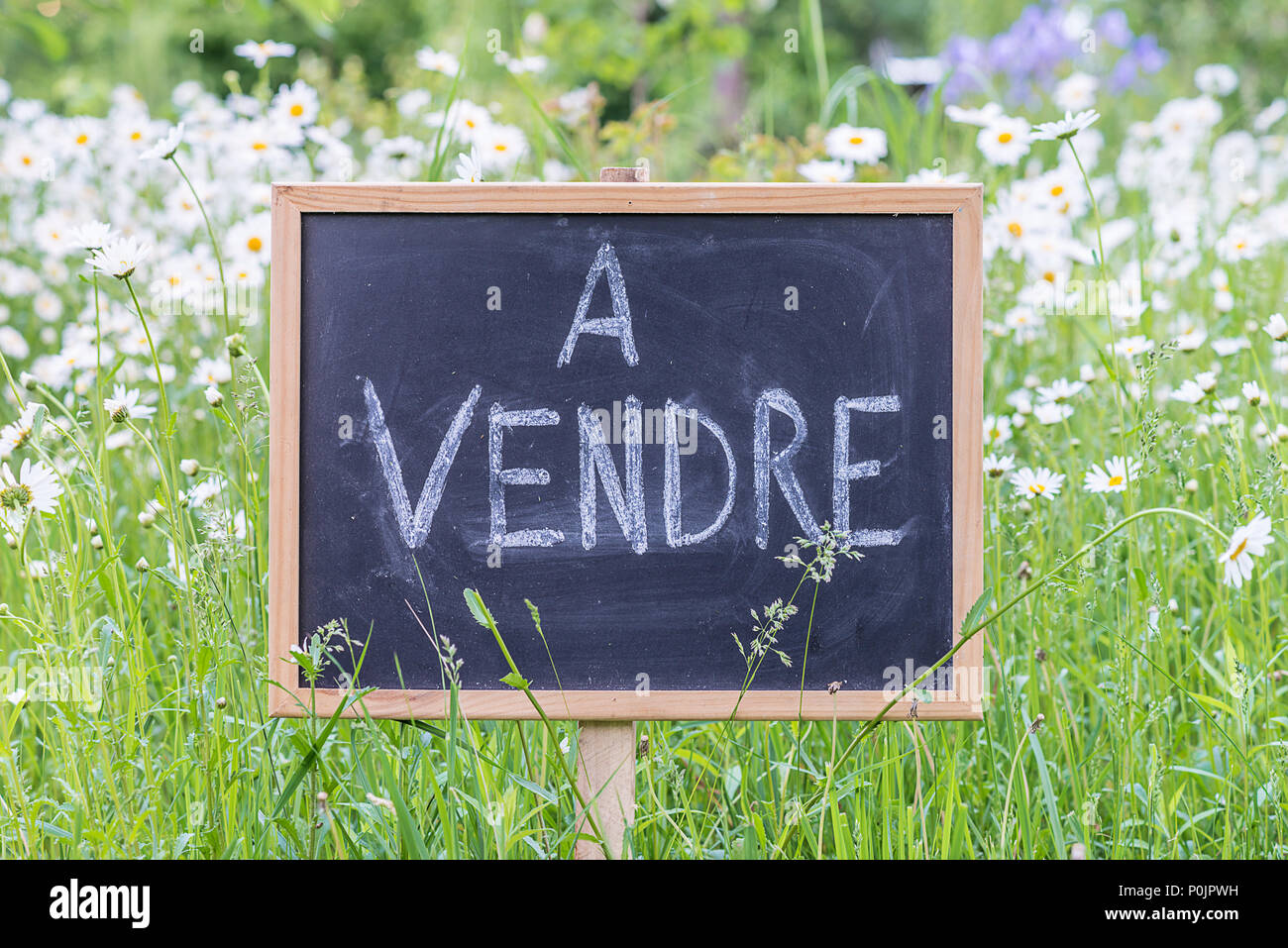 Sign board with text in french "for sale" in daisies meadow Stock Photo ...