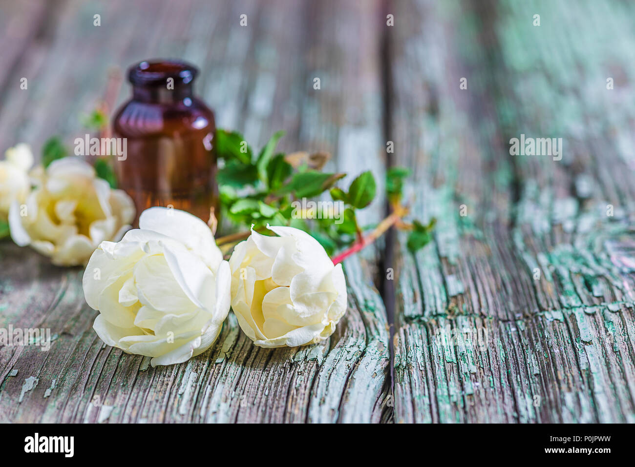 Eglantine flower hi-res stock photography and images - Alamy