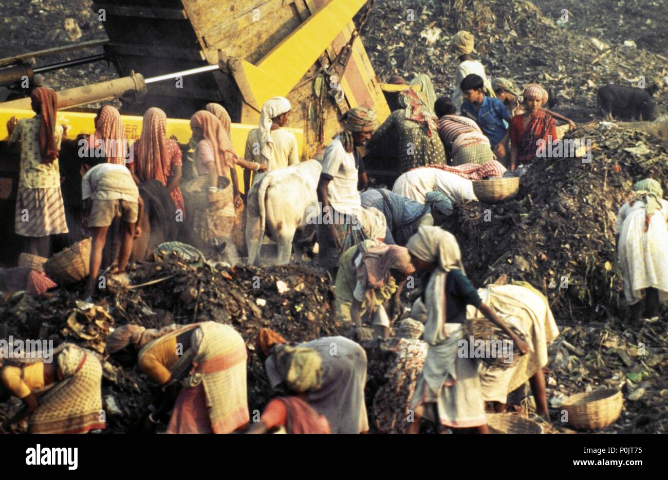 Original Film Title: BARAKA. English Title: BARAKA. Film Director: RON ...