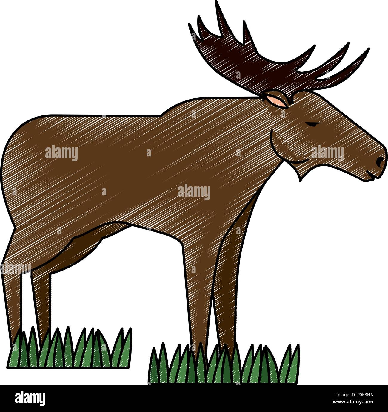 Canadian elk wild icon vector illustration design Stock Vector Image ...