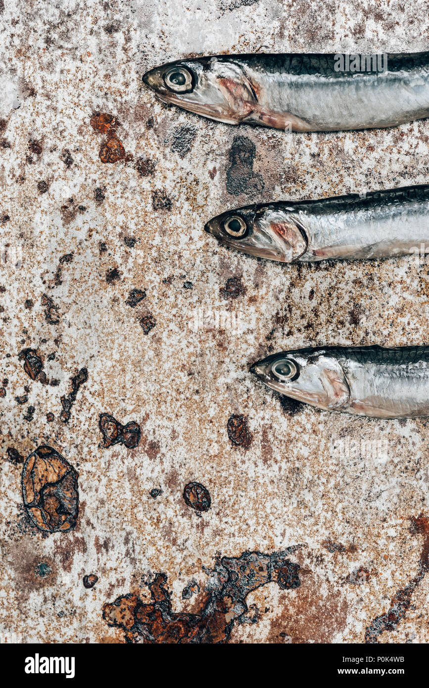 Sprotes hi-res stock photography and images - Alamy