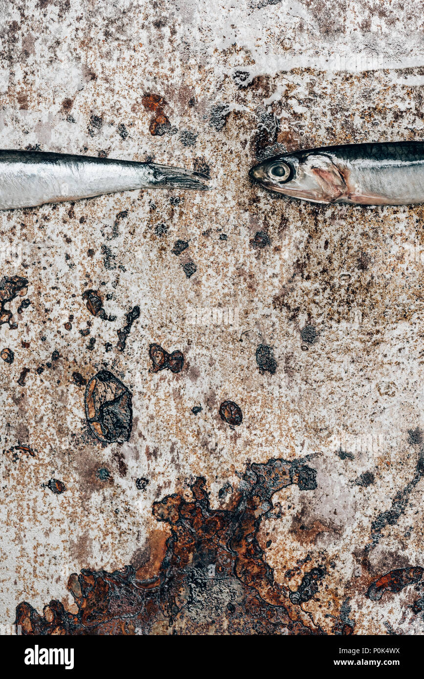 Partial view of two little fish on rustic surface Stock Photo - Alamy