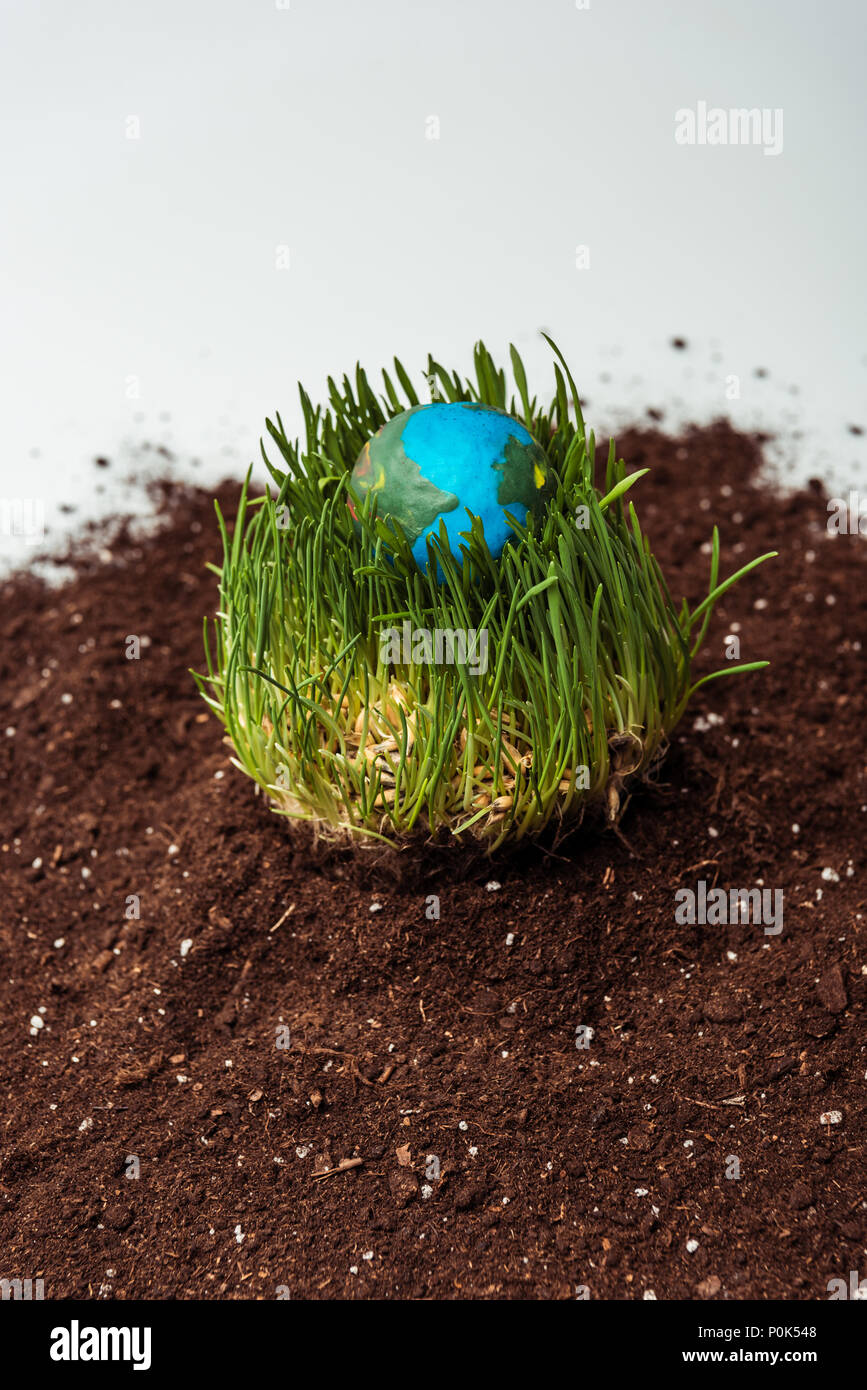 seedling with earth model on soil isolated on white, earth day concept ...
