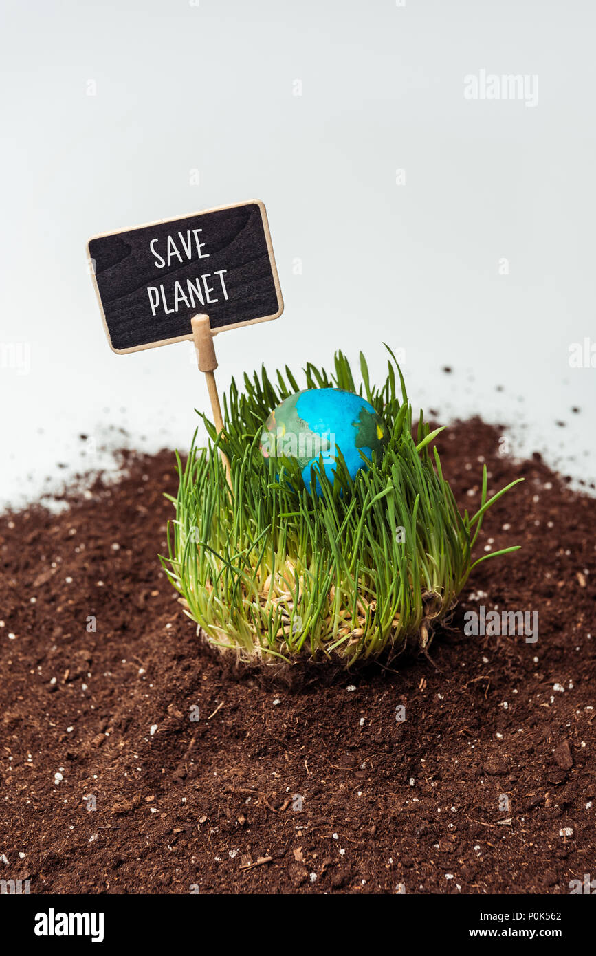 Save Soil If We Don't Save Soil, We Will Pay The Price