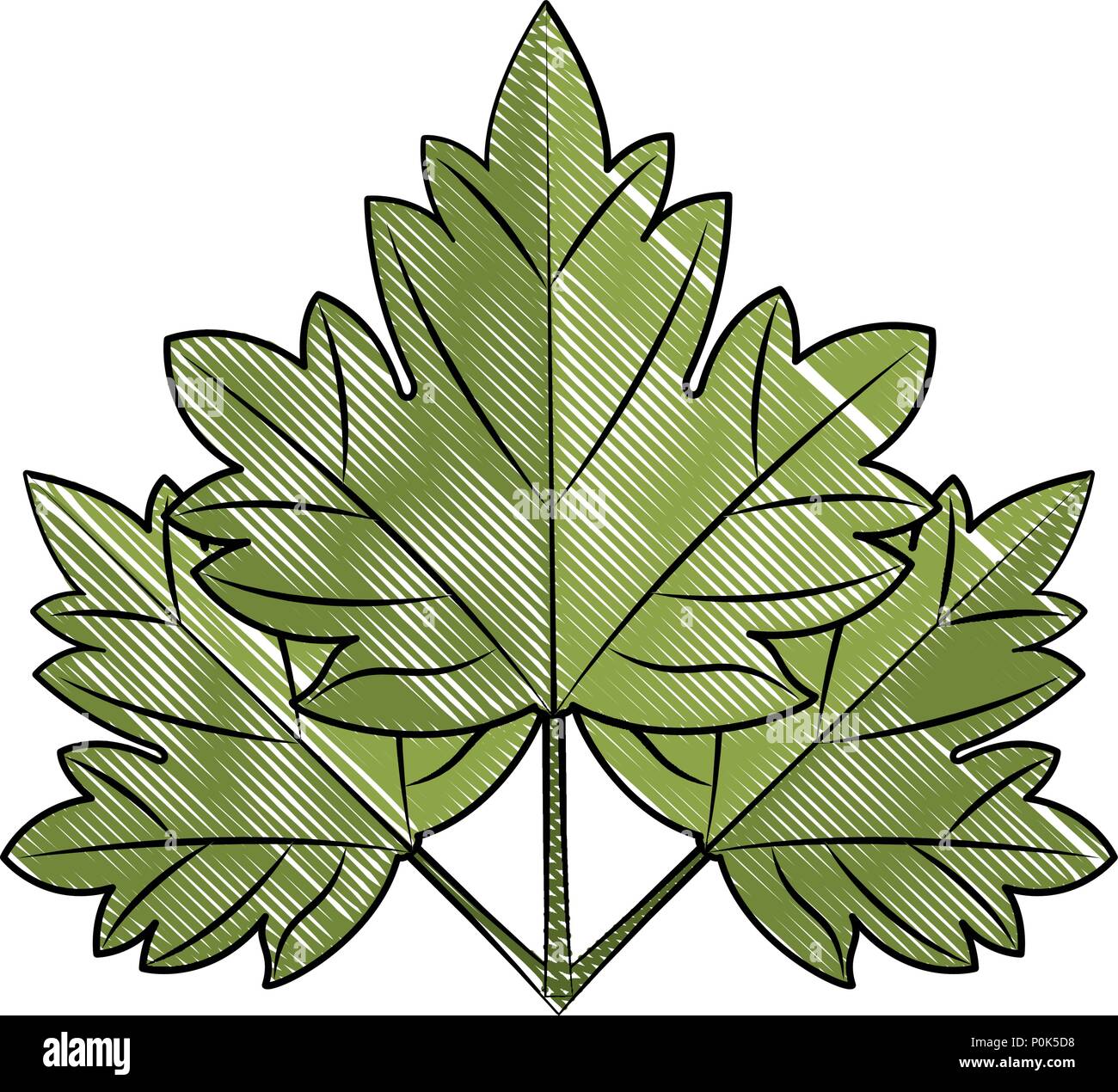Leaf Vector Crest High Resolution Stock Photography and Images - Alamy