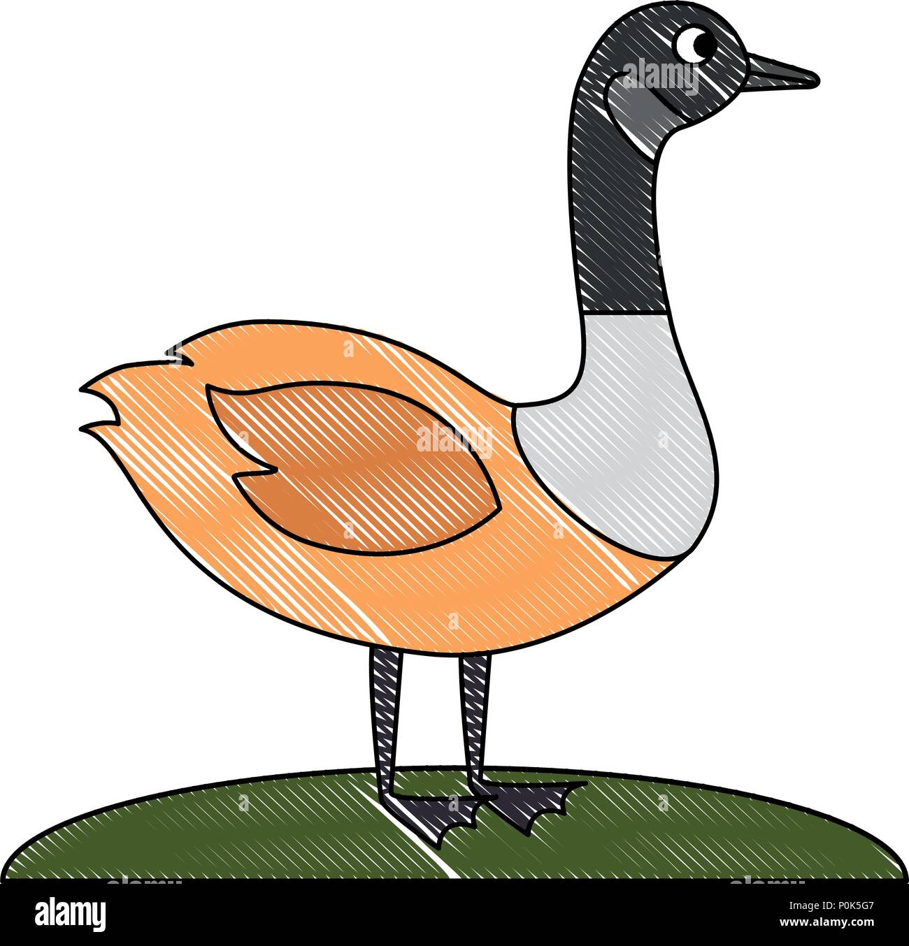 wild canadian duck icon Stock Vector Image & Art - Alamy