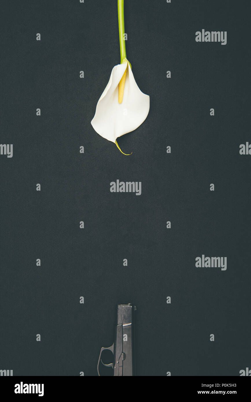 Flower gun barrel hi-res stock photography and images - Alamy