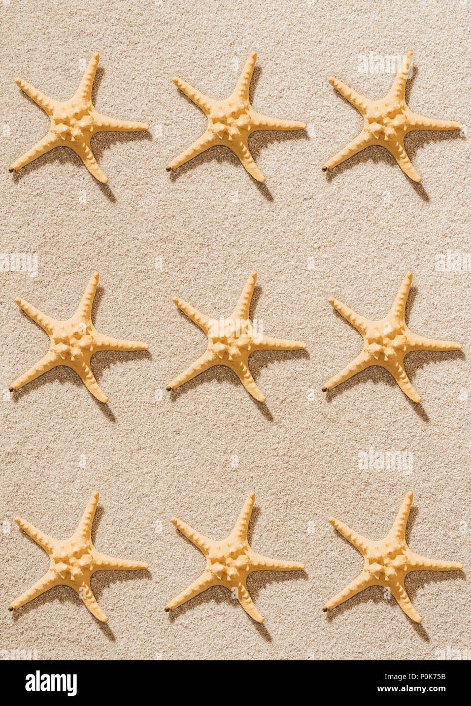 top view of repetition of starfishes on sandy beach Stock Photo - Alamy