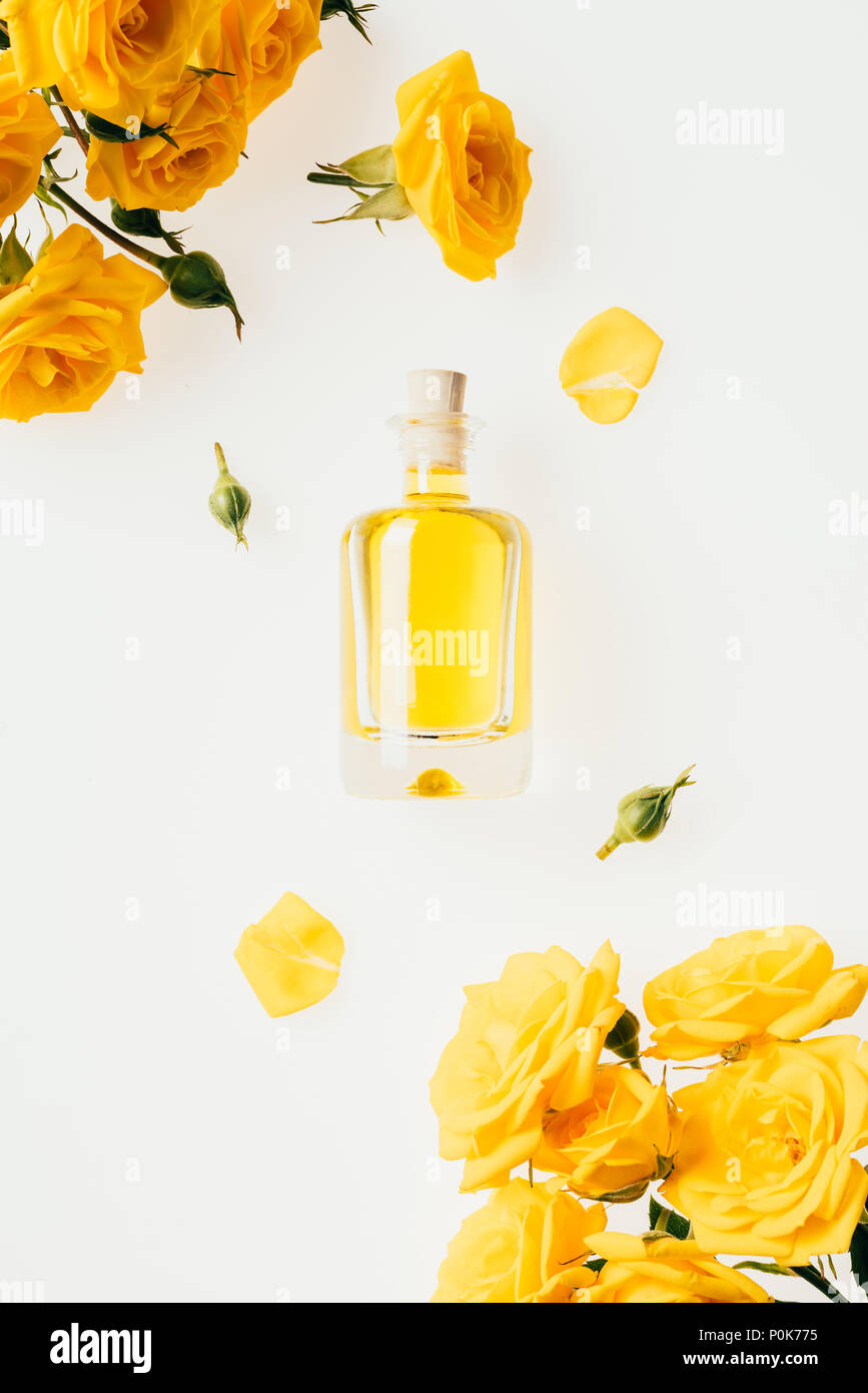 top view of glass bottle of perfume and yellow roses on white Stock ...