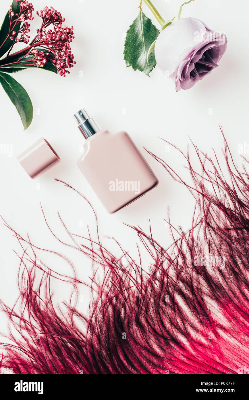top view of bottle of perfume with red feather and flowers on white ...