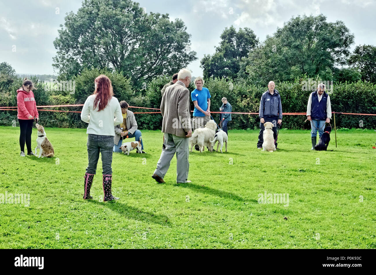 Judging dogs hi-res stock photography and images - Alamy