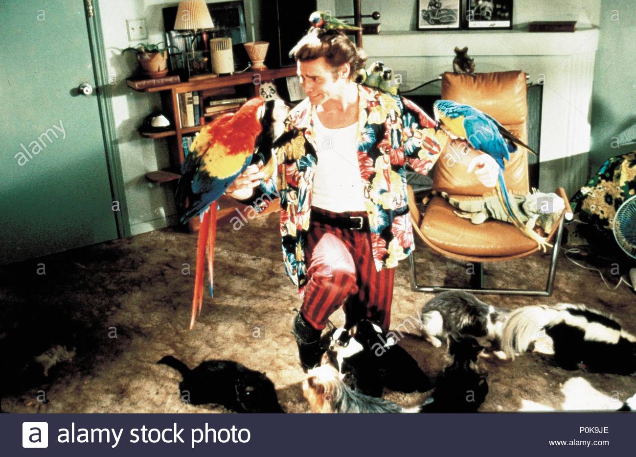 Ace Ventura Pet Detective 1994 Stock Photos & Ace Ventura Pet Detective ...