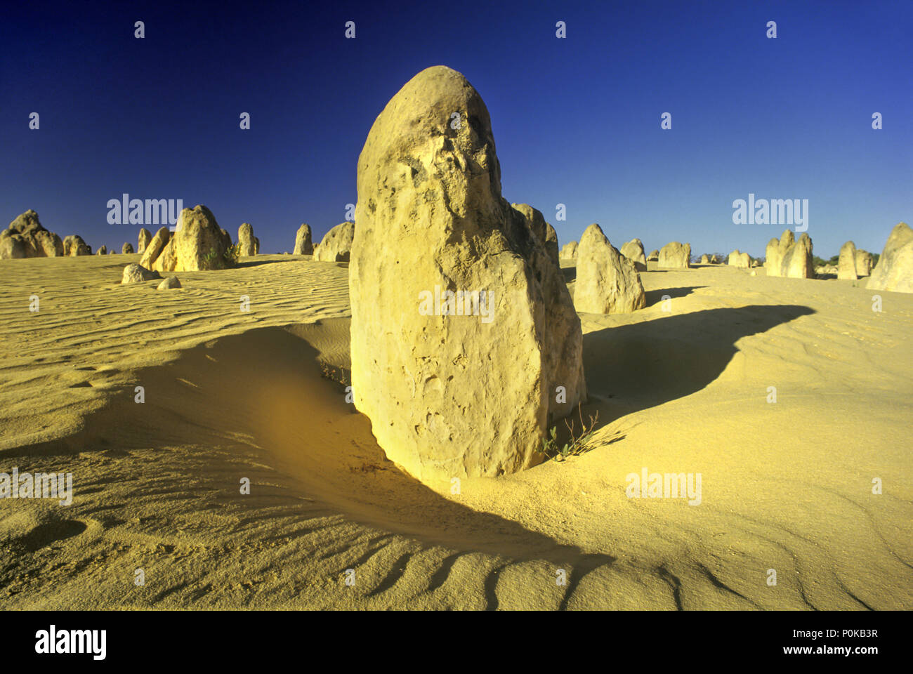 1995 HISTORICAL RIPPLES SAND DESERT PINNACLES NAMBUNG NATIONAL PARK ...