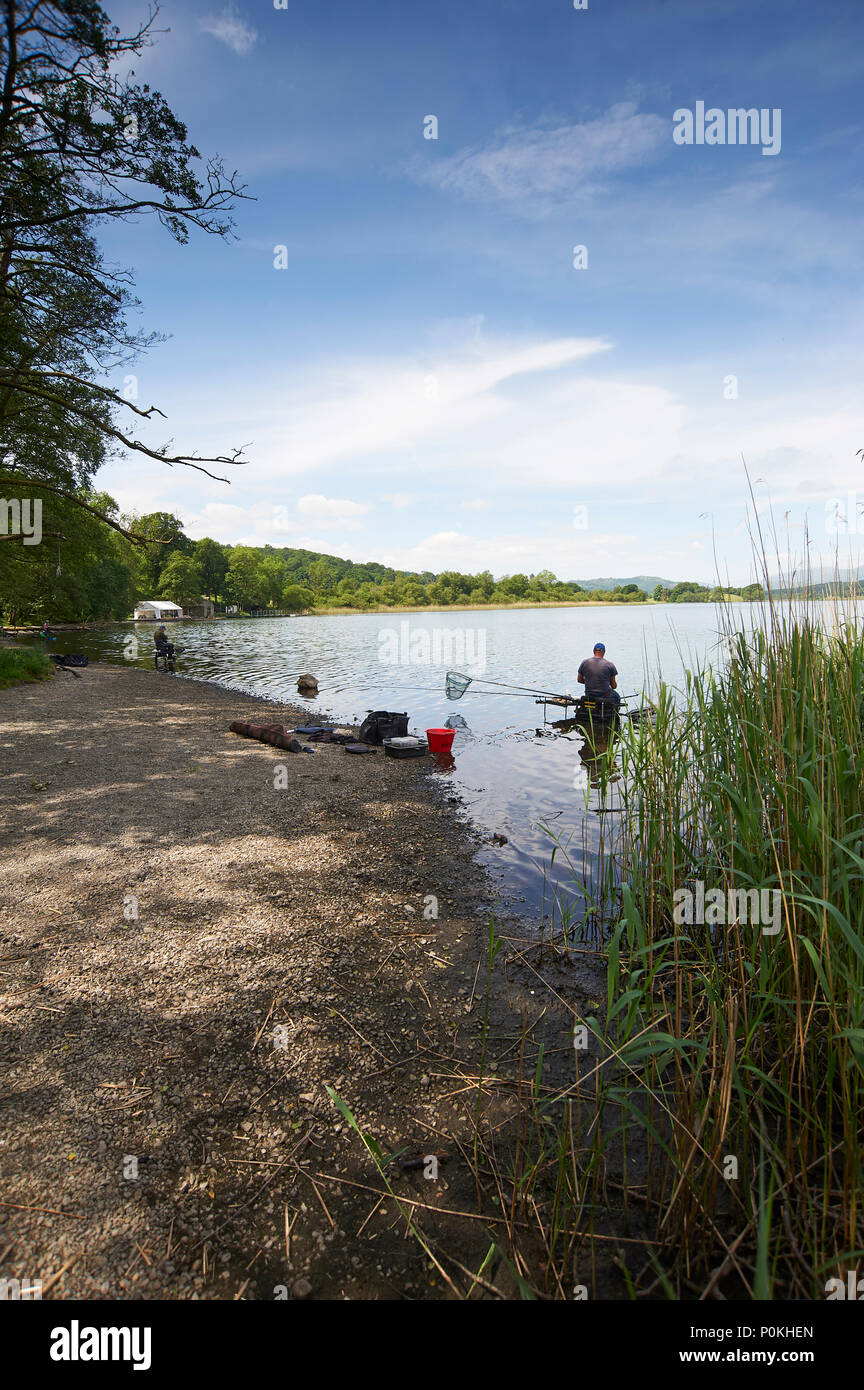English trout fishery hi-res stock photography and images - Alamy