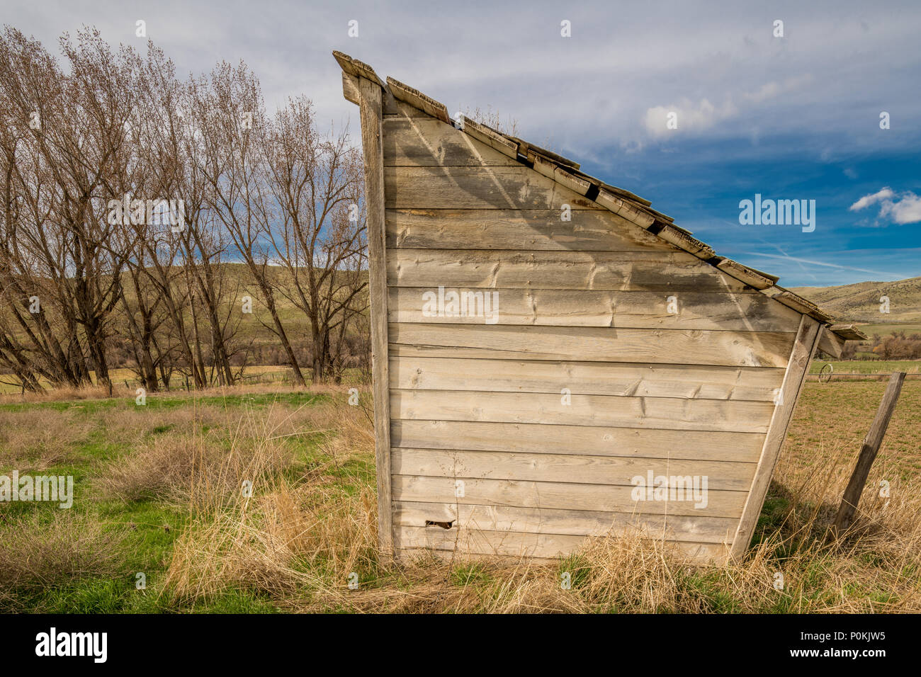 Rural outbuilding in the farmland of Idaho with tall trees Stock Photo ...