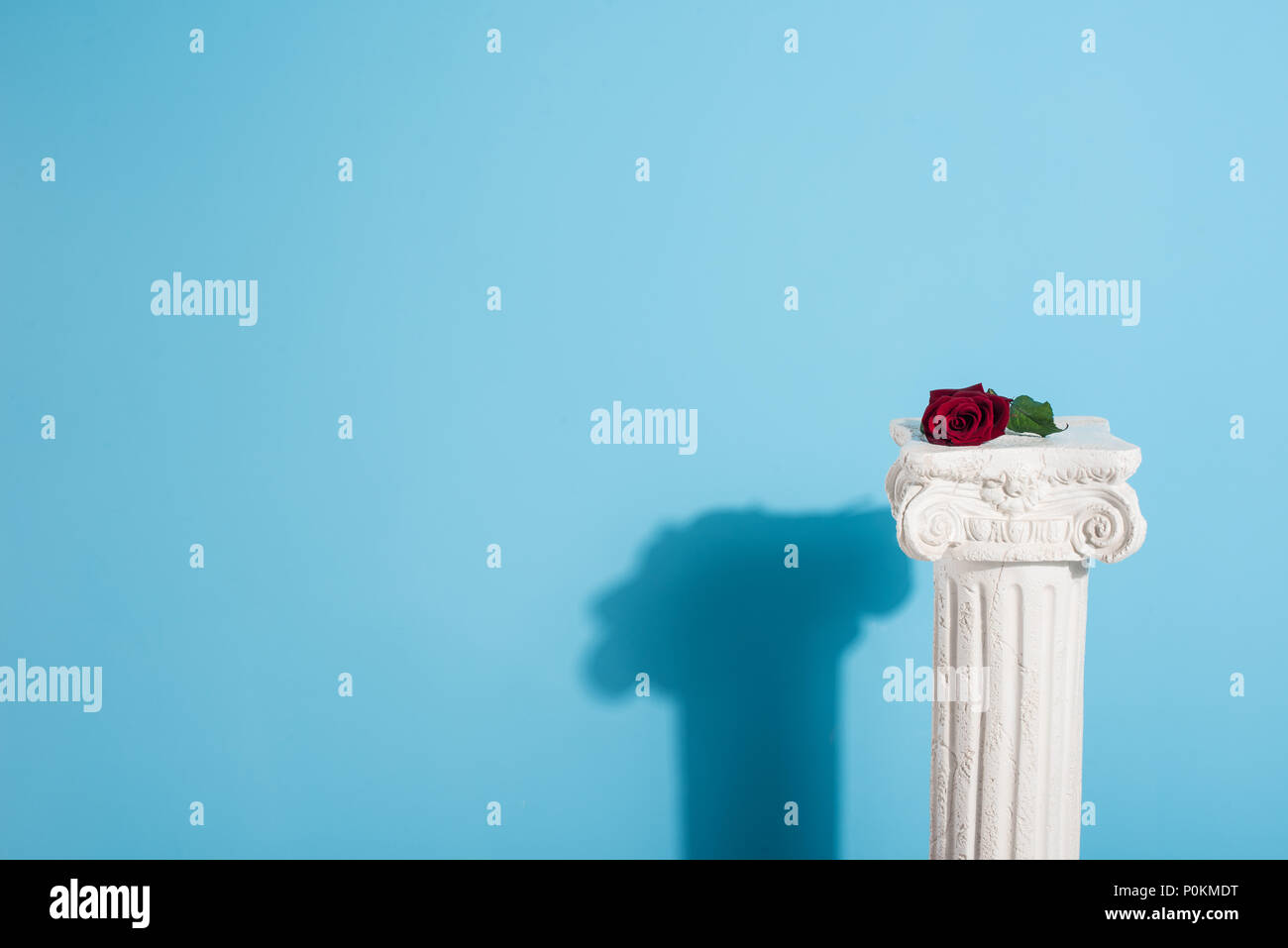 one red rose on white column on blue Stock Photo - Alamy