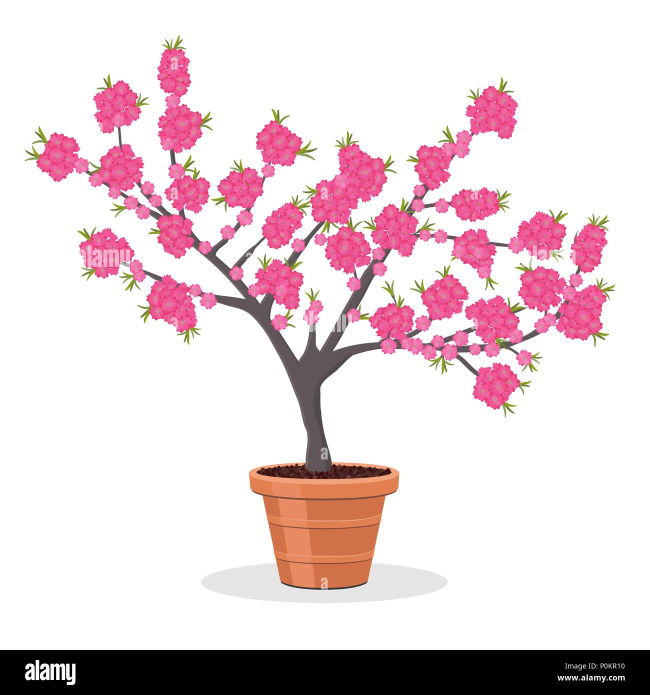 Organic peach on tree Stock Vector Images - Alamy