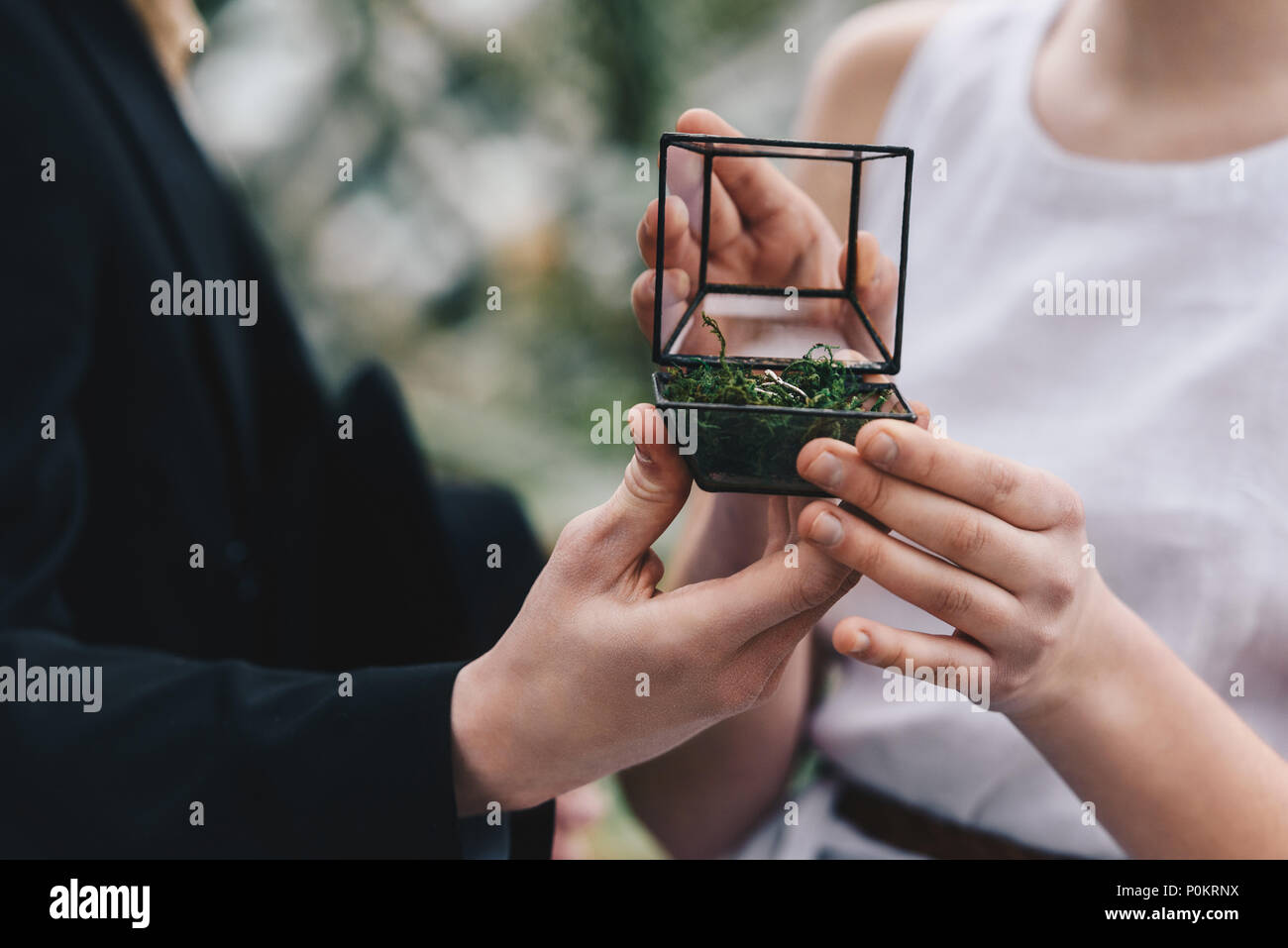 Female hands holding box rings hi-res stock photography and images - Alamy