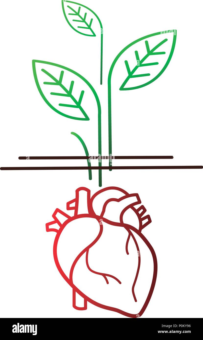Hand drawn vector illustration or drawing of a human heart and plants ...