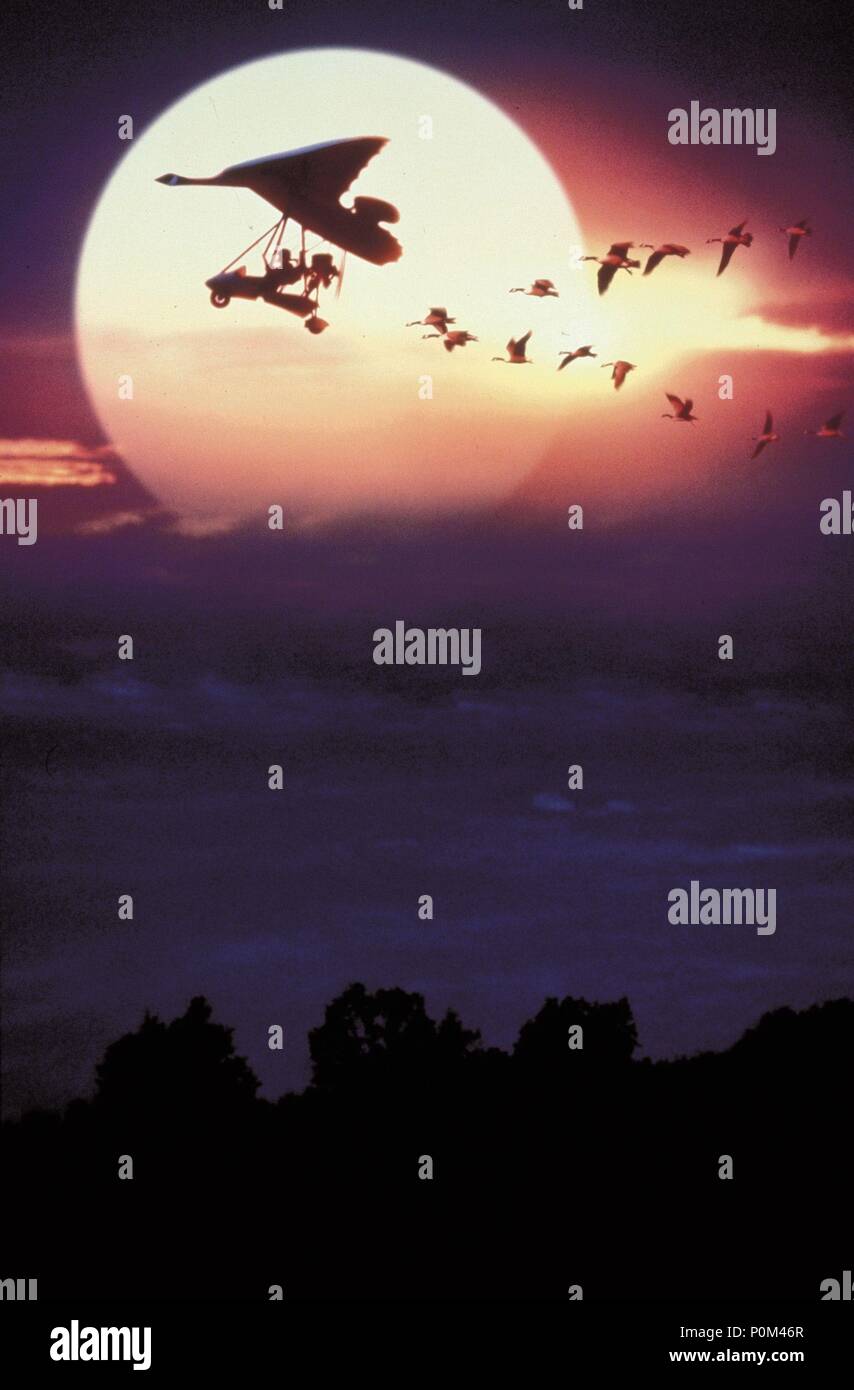 Original Film Title: FLY AWAY HOME. English Title: FLY AWAY HOME. Film ...