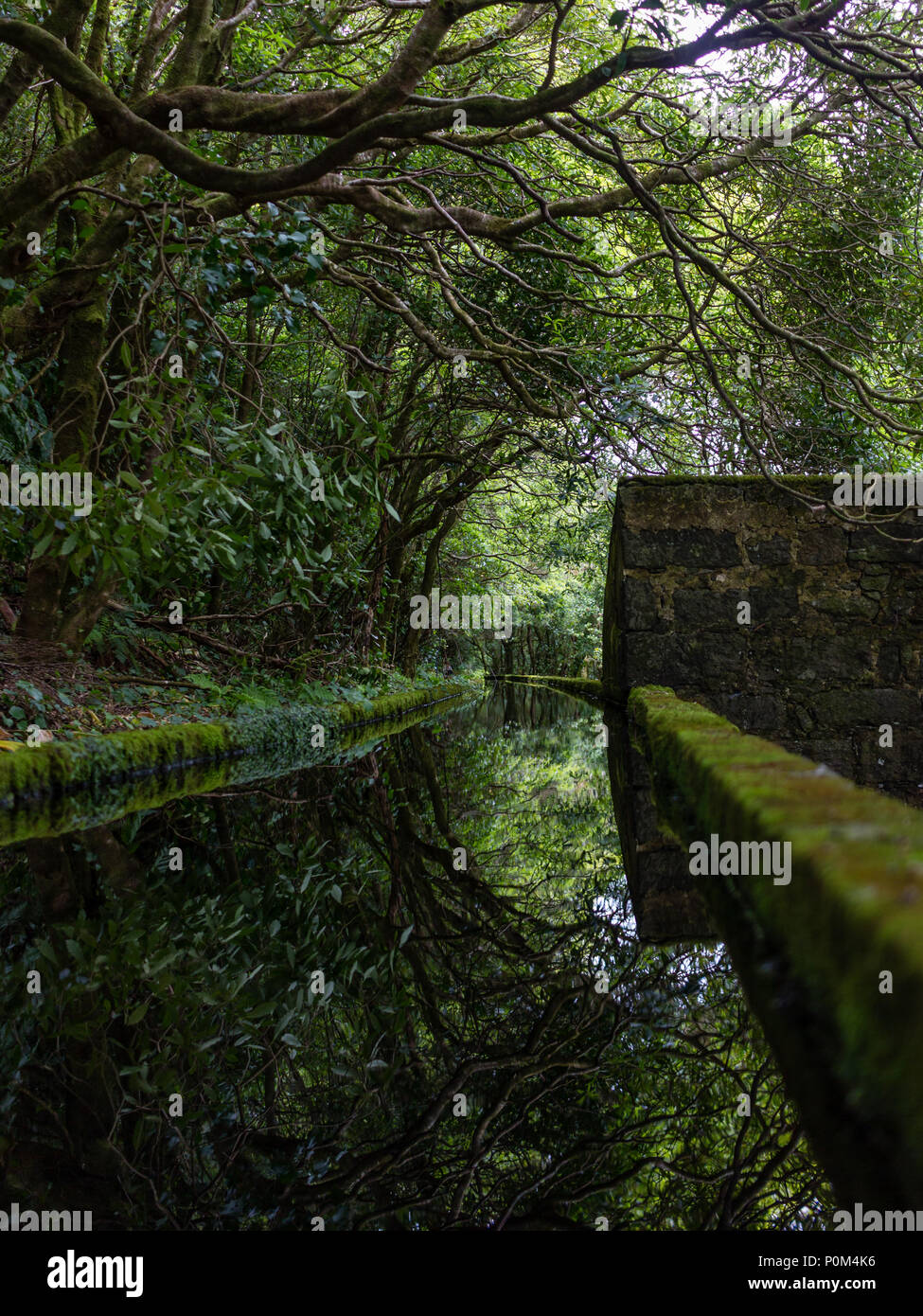 Levada (irrigation channel) on Sao Miguel in the Azores, Portugal Stock ...