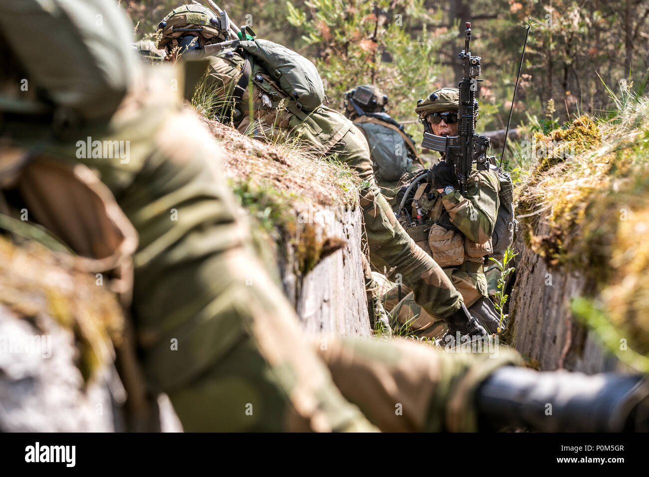 Norwegian trench hi-res stock photography and images - Alamy