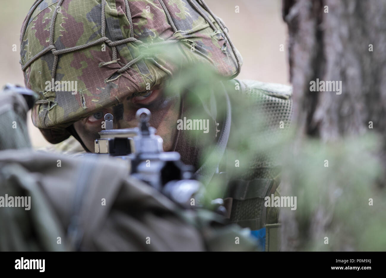 Mechanised infantry brigade iron wolf hi-res stock photography and ...