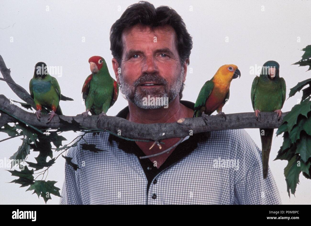 Paulie year 1998 director john hi-res stock photography and images - Alamy