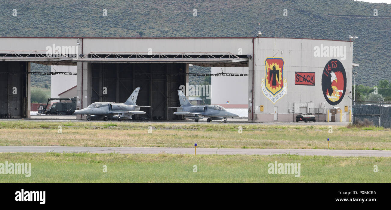 Honey badger wings hi-res stock photography and images - Alamy