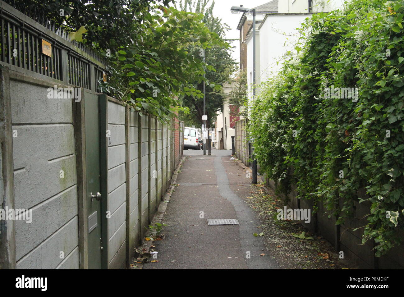 Overgrown alleyway hi-res stock photography and images - Alamy