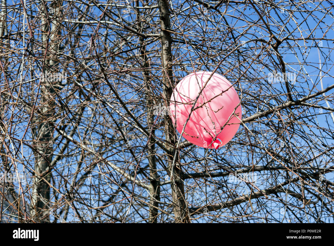 Balloon caught tree hi-res stock photography and images - Alamy
