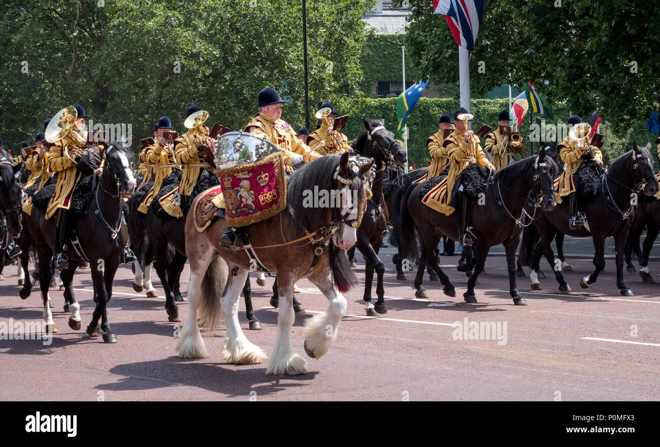 Drum horse and drummer, with mounted band behind, taking part in the ...