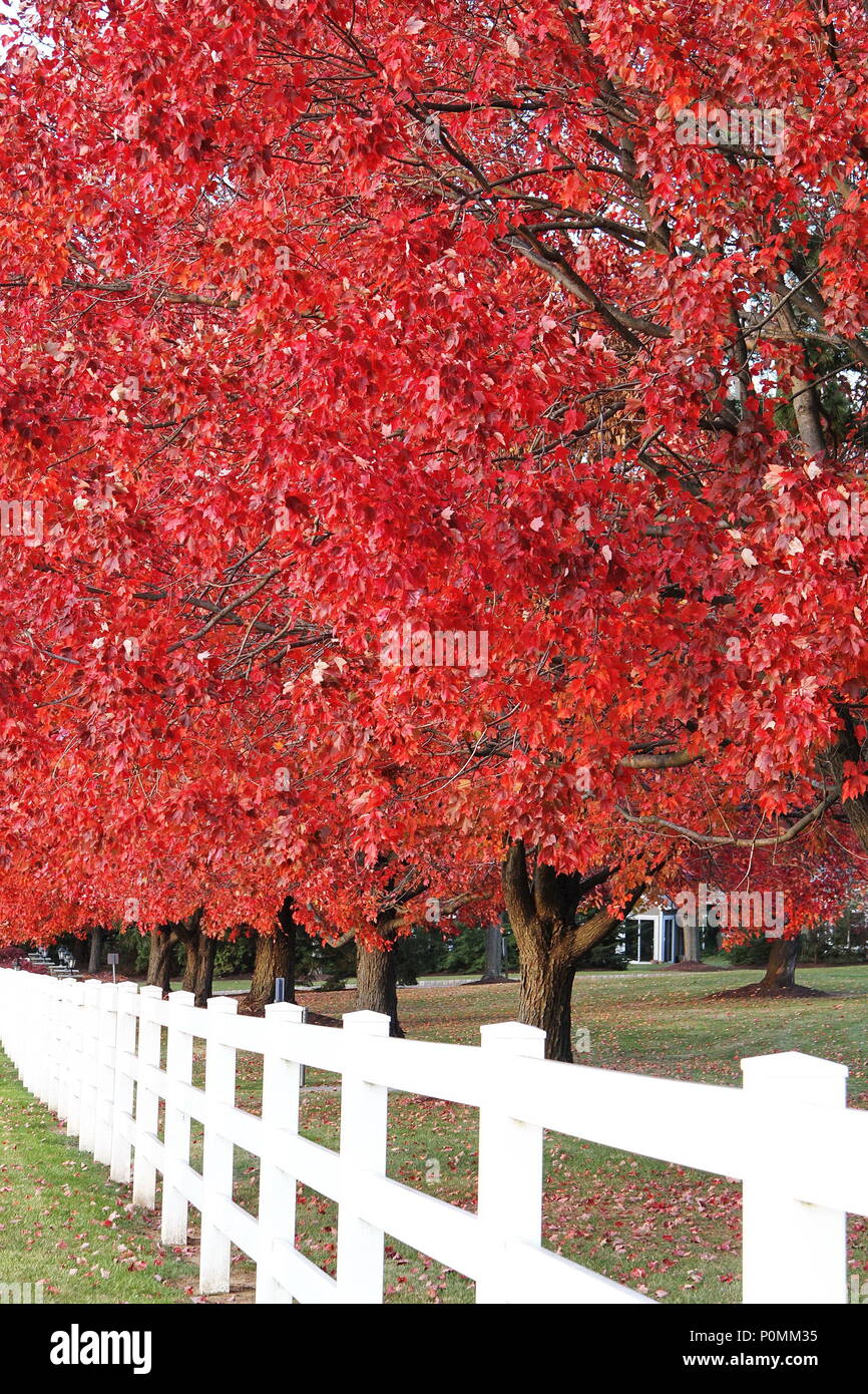 Colors of Fall Stock Photo - Alamy