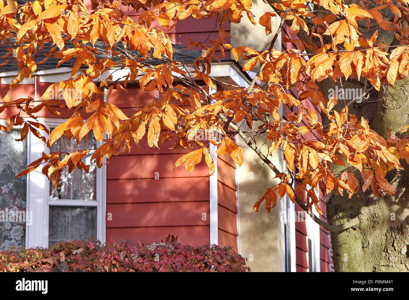 Colors of Fall Stock Photo - Alamy
