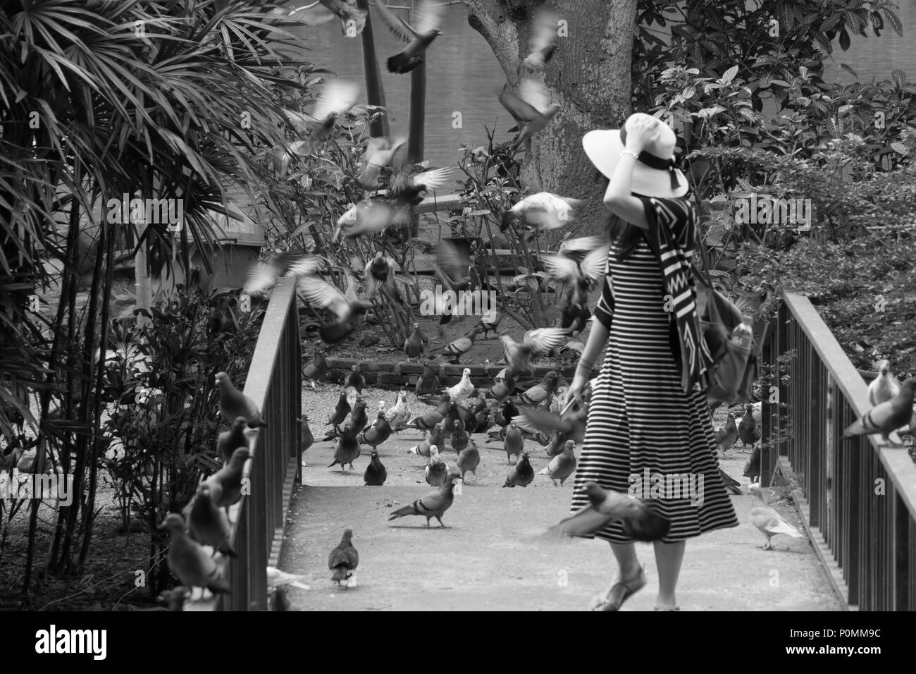 All aflutter hi-res stock photography and images - Alamy