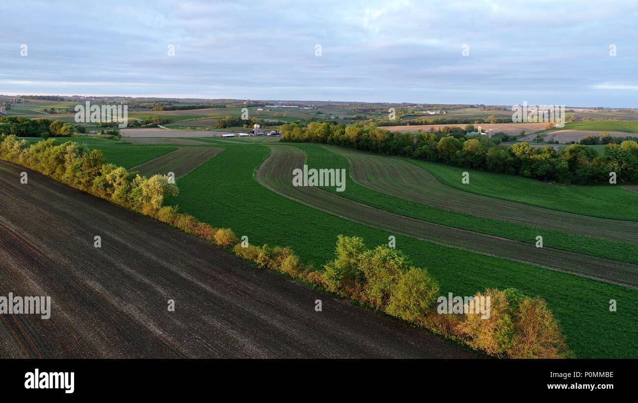 Aerial photograph taken by drone during sunset over row crops planted ...