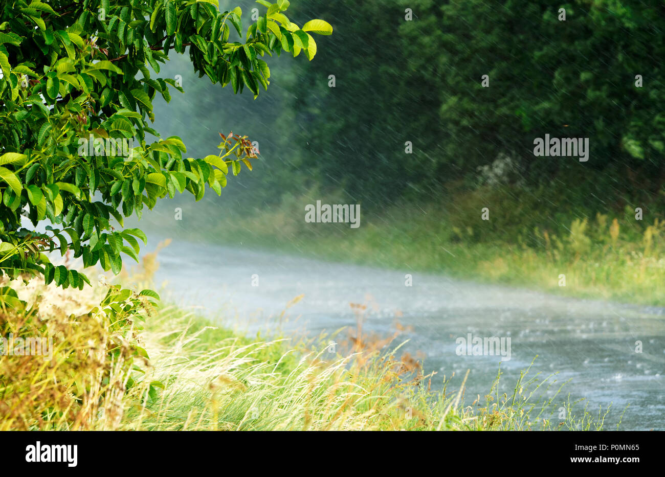 Heavy rain in summer time with rainbow Stock Photo - Alamy