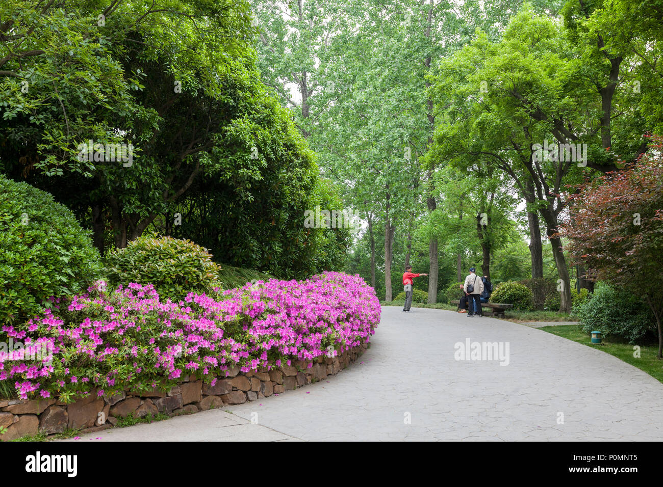 Chinese walkway hi-res stock photography and images - Alamy