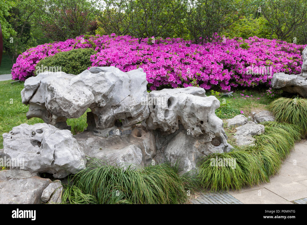 Azaleas hi-res stock photography and images - Alamy