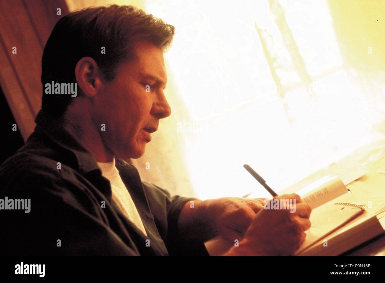 Original Film Title: THE FUGITIVE. English Title: THE FUGITIVE. Film Director: ANDY DAVIS. Year ...