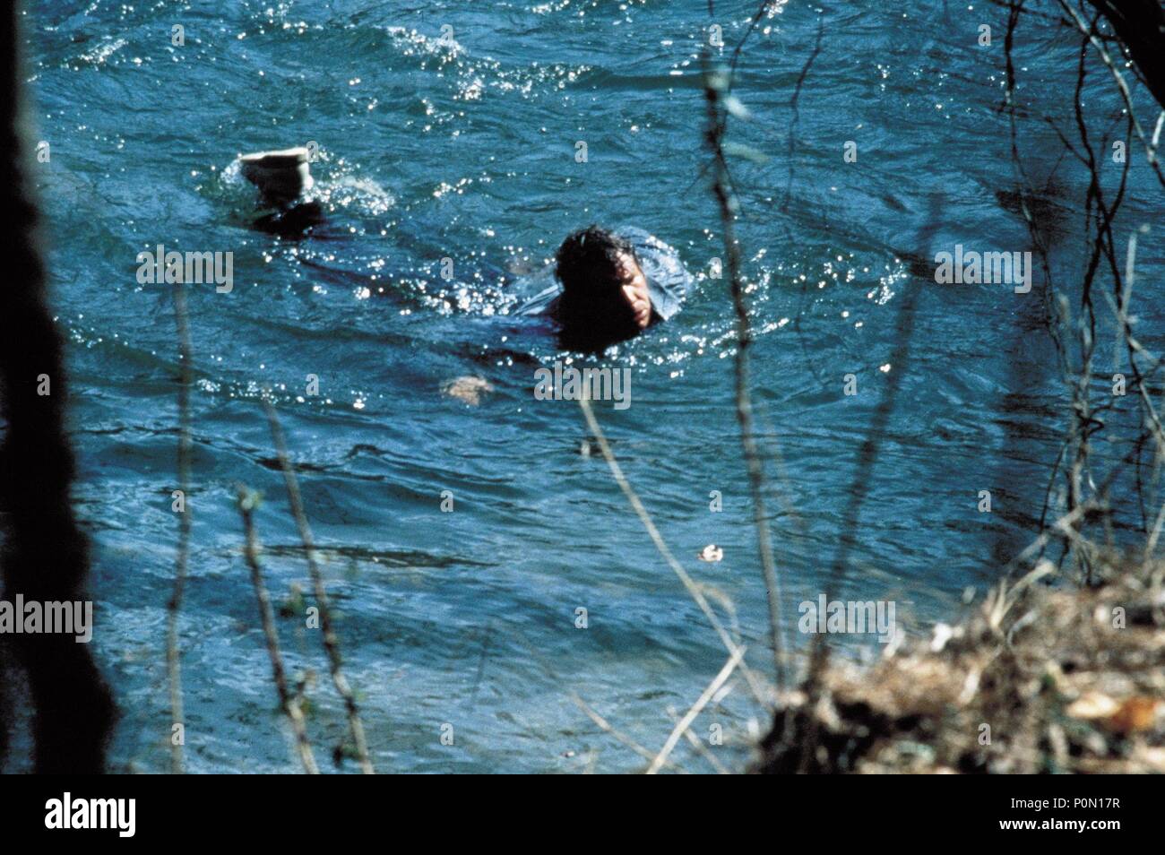 Original Film Title: THE FUGITIVE. English Title: THE FUGITIVE. Film Director: ANDY DAVIS. Year ...