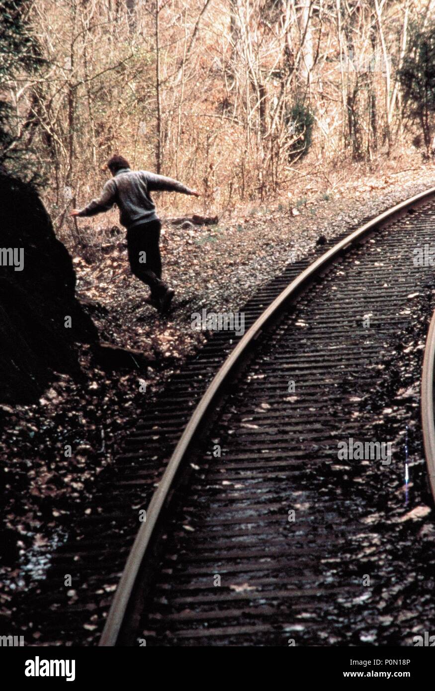 Original Film Title: THE FUGITIVE. English Title: THE FUGITIVE. Film Director: ANDY DAVIS. Year ...