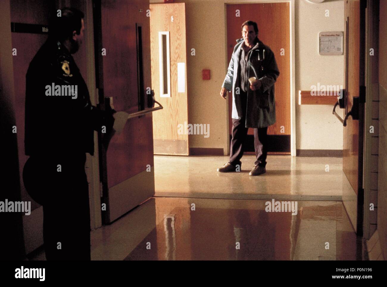 Original Film Title: THE FUGITIVE. English Title: THE FUGITIVE. Film Director: ANDY DAVIS. Year ...