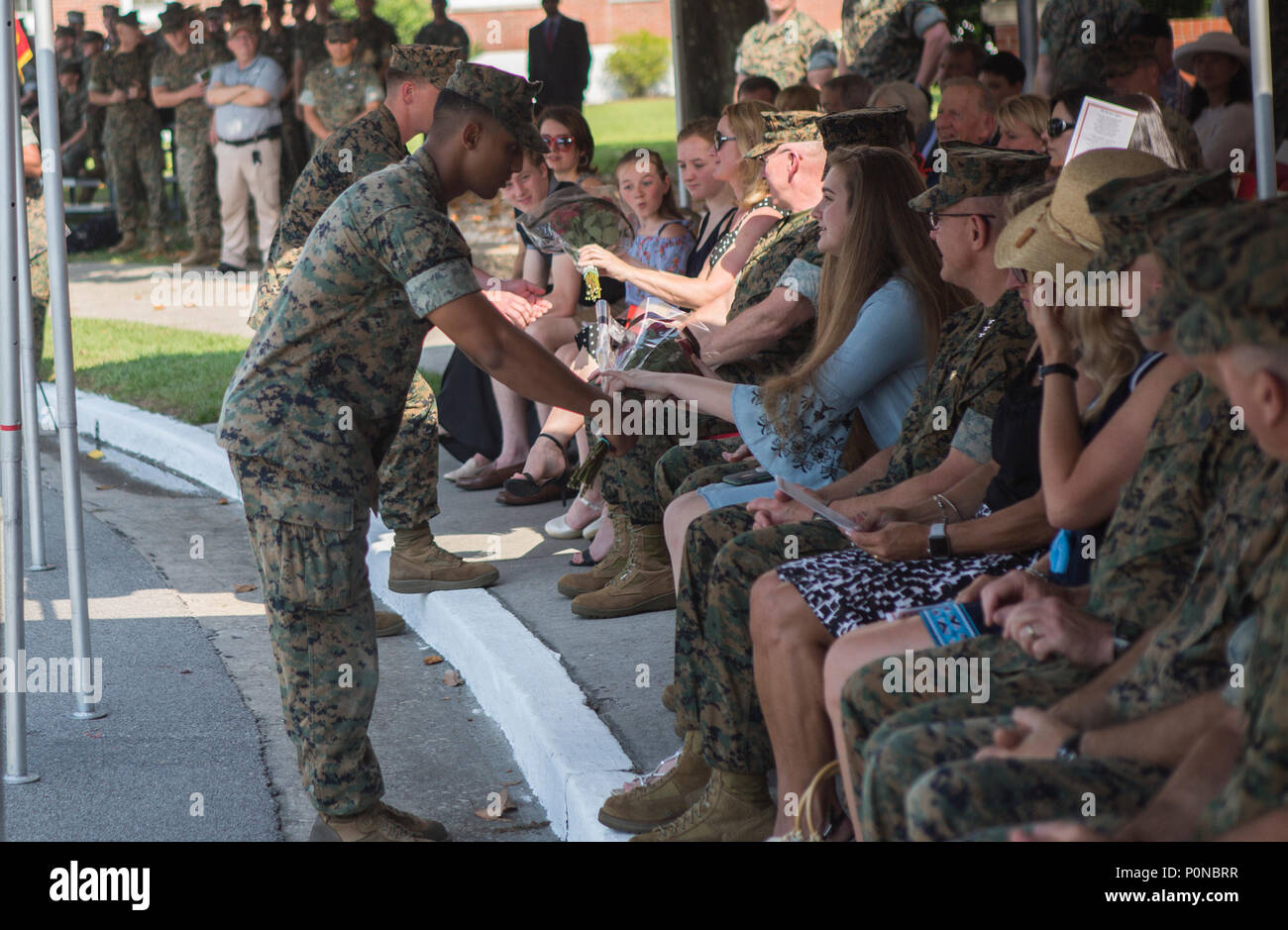 Col david owen hi-res stock photography and images - Alamy